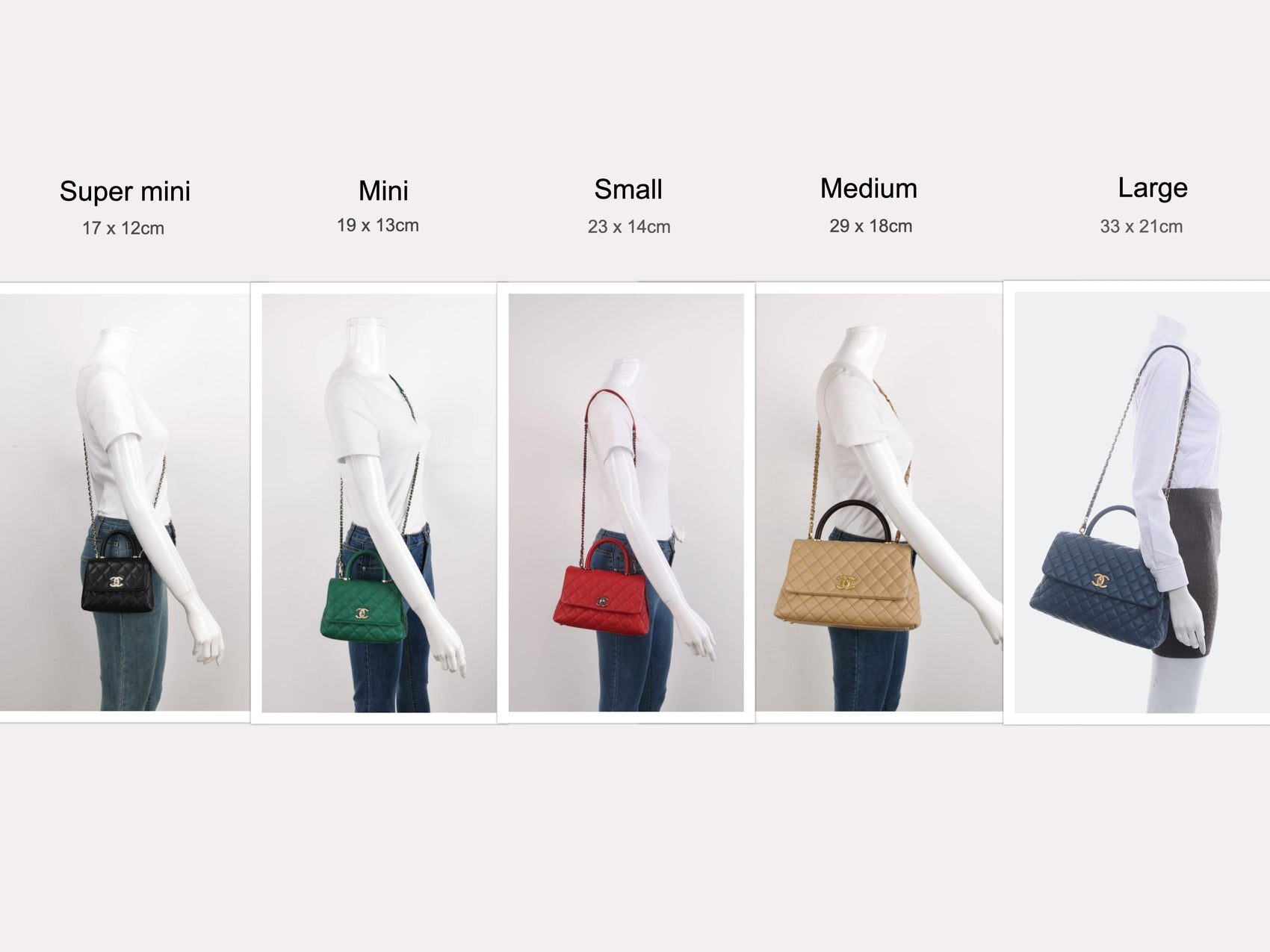 Complete Size Guide to Chanel Coco Handle – Luxbags